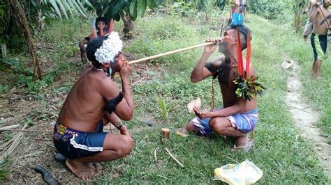 Amerindian Tribes Of Guyana