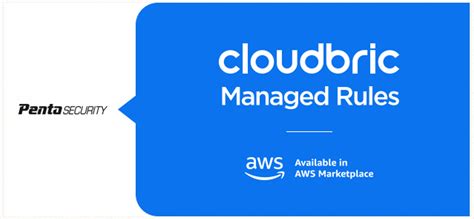 Penta Security Launches A New Managed Rule Group Api Protection