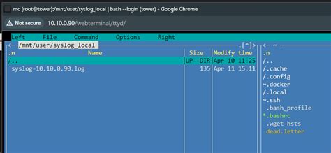 Syslog Server Local Fixed General Support Unraid