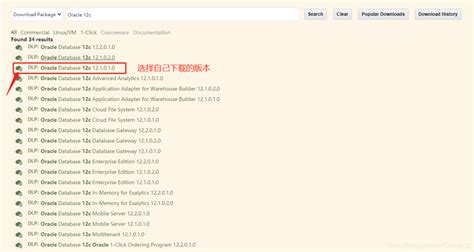 Linux环境下oracle安装图文详解linux安装oracle Csdn博客