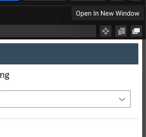 Multicombobox Component Truncated When Used With A Splitter · Issue