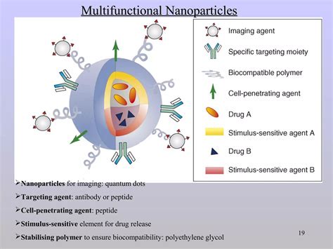 Surface Modification Of Nanoparticles For Biomedical Applications Ppt