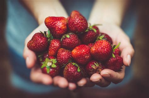 무료 이미지 식물 과일 말린 씨앗 식품 빨간 생기게 하다 건강한 딸기 단맛 매크로 사진 Frutti Di