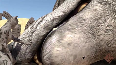 Sleeping Wolf Vore Animation