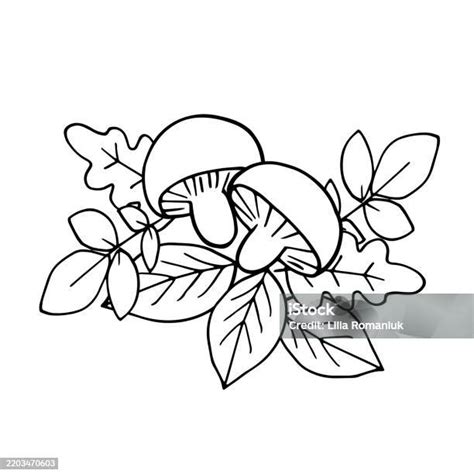 나뭇잎과 버섯 벡터 구성 그래픽 낙서 손으로 그린 그림 흰색 배경에 그림 섬유 디자인 식기 및 인쇄의 기초 0명에 대한 스톡 벡터 아트 및 기타 이미지 Istock