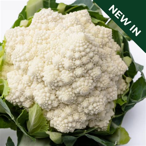 Cauliflower Cartesio F1 Premier Seeds Direct