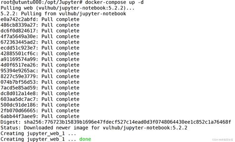 未授权访问：jupyter Notebook 未授权访问漏洞jupyter 漏洞 Csdn博客