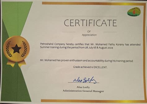 Muhammad Fathey On Linkedin Im Excited To Share That Ive Successfully Completed My Internship At…