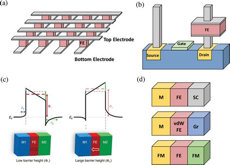 memory and synaptic devices based on emerging 2d ferroelectricity joo