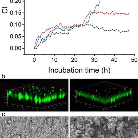 A Ci Vs Incubation Time For B16 Melanoma 4a5 Cells Initial Cell