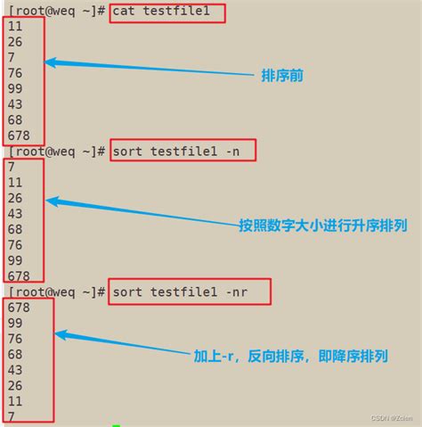Shell脚本之“sort“、“uniq“、“tr“、“cut“、“split“、“paste“以及“eval“命令详解 小海哥哥de 博客园