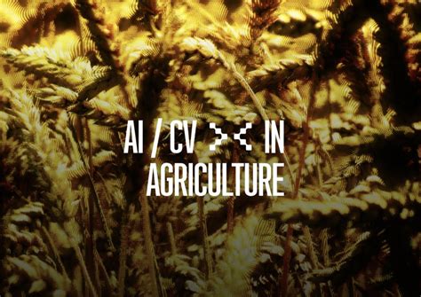 Real Time Object Detection Opencvai