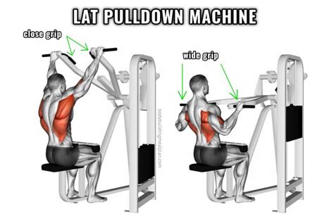Close Grip Lat Pulldown Vs Wide Grip For A Bigger Back