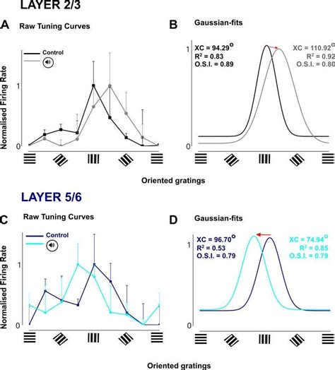 Typical Examples Of Shift Of Orientation Tuning Peaks The Figure Download Scientific Diagram