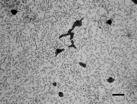 Revealing The Microstructure Of Tool Steels