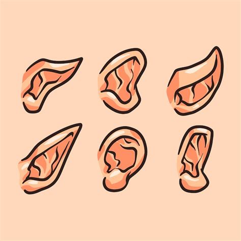 Premium Vector Hand Drawn Ear Cartoon Collection Illustration