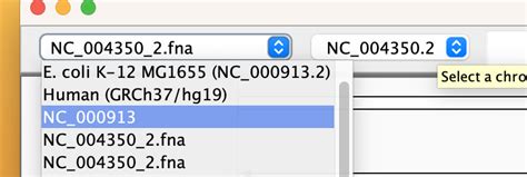 null pointer exception when trying to save session due to genome · issue 1330 · igvteam igv