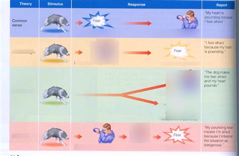 Diagram Of Memory Theories Quizlet