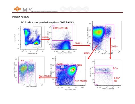 Parameters And Metadata