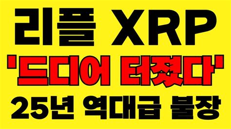 리플 Xrp 엑스알피 긴급속보 드디어 터졌다 25년 역대급 불장 예고 Youtube