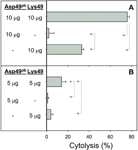 Cytotoxic Activity Of P Bromophenacyl Bromide Modified Asp49 Myotoxin