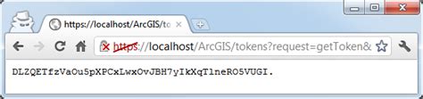 Security Struggling With ArcGIS REST API And Tokens Geographic Information Systems Stack