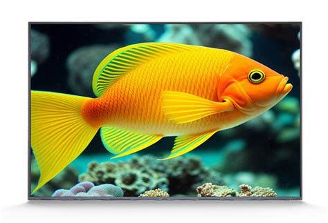 Wholesale Lcd Tv Panel 156 Inch Small Lcd Screen 1366x768 Lcd Display