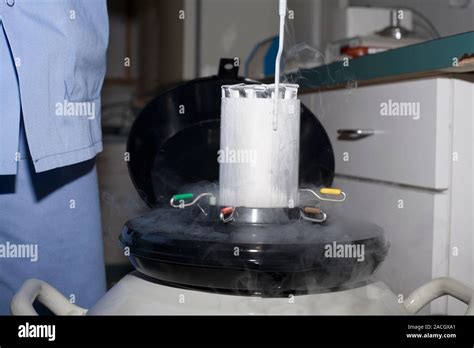 In Vitro Fertilization Lab Showing Embryo And Sperm Storage In Liquid