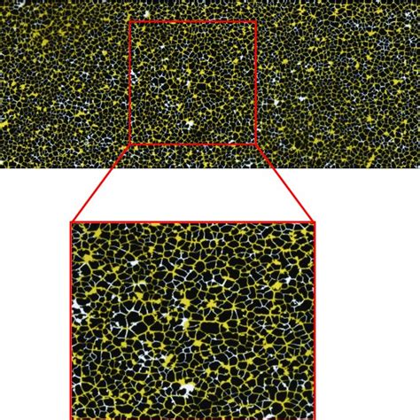 Structure Of A Microchip The Black Color Indicates The Pores Flow Structure Of A Microchip The Black Color Indicates The Pores Flow