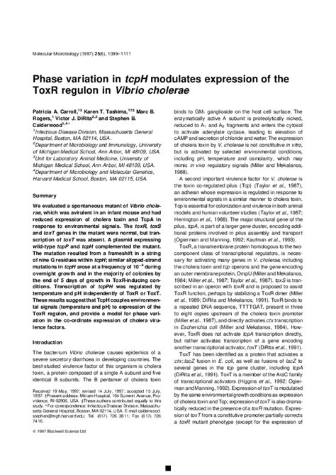 Pdf Phase Variation In Tcph Modulates Expression Of The Toxr Regulon In Vibrio Cholerae