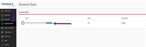 How To Cancel My Auto Pay Babe Services