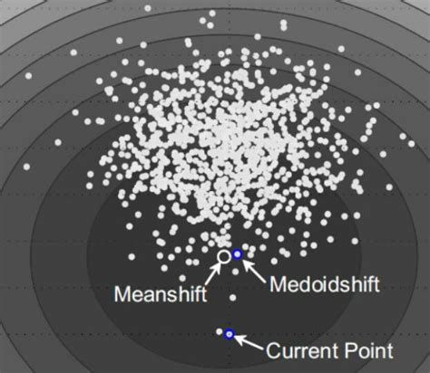 for the current point in the shifting medoid shift chooses the data