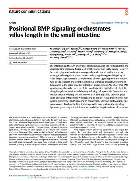 Pdf Positional Bmp Signaling Orchestrates Villus Length In The Small Intestine