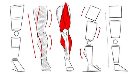 5 Tips On How To Draw Leg Anatomy Tutorial Ram Studios Comics The