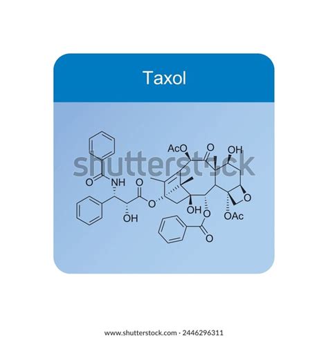 Taxol Skeletal Structure Diagramditerpenoid Compound Molecule Stock Vector Royalty Free