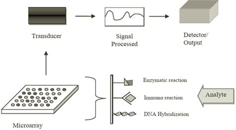Culture Independent Nucleic Acid Techniques