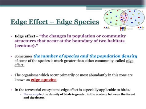 Ecotone And Edge Effect Pptx