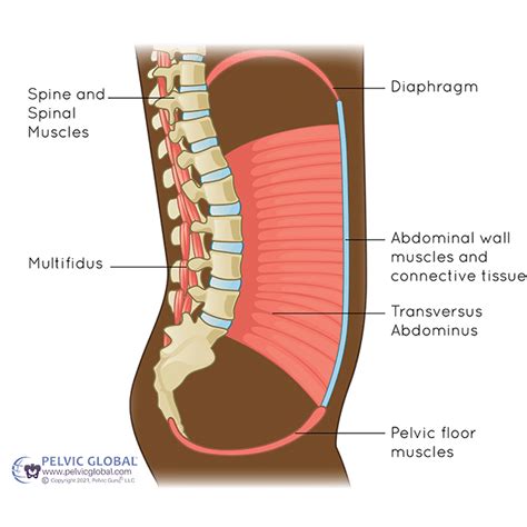 5 Heel Slide Progressions To Help You Get Stronger Postpartum