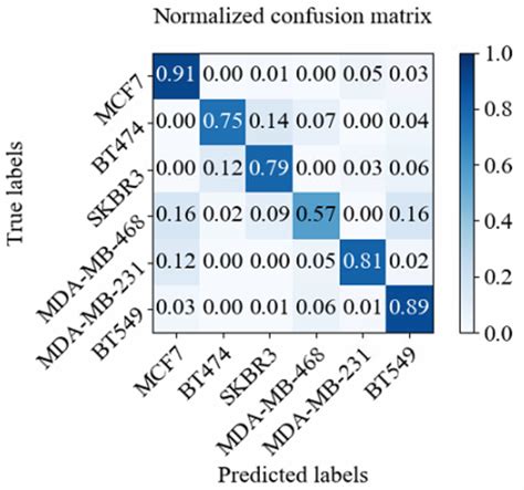 Figure 5 From Deep Learning Based Classification Of Breast Cancer Cells Using Transmembrane