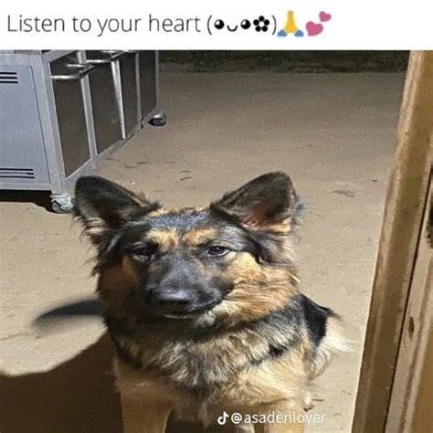 Stream Raysocial Listen To Underground V Rails Playlist Online For Free On SoundCloud