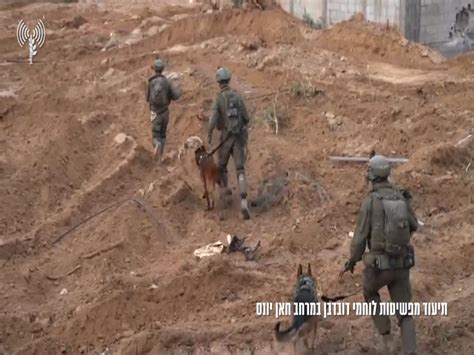 מלחמת חרבות ברזל גו ביידן עשוי לסגור חשבון עם בנימין נתניהו חדשות מעריב