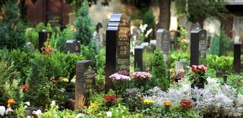 У Німеччині показали статистику смертей за 2023 рік основні причини серцеві хвороби і рак