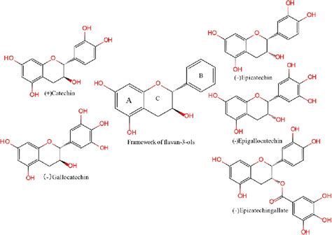 Flavan 3 Ols Framework And Flavan 3 Ols Monomer Derivative Structure Download Scientific Diagram