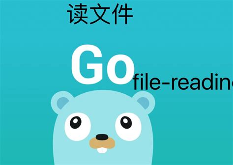 Go语言教程读文件 纯净天空