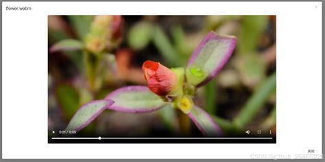 Servefs一个可以上传、下载、预览、编辑的文件服务器 Csdn博客