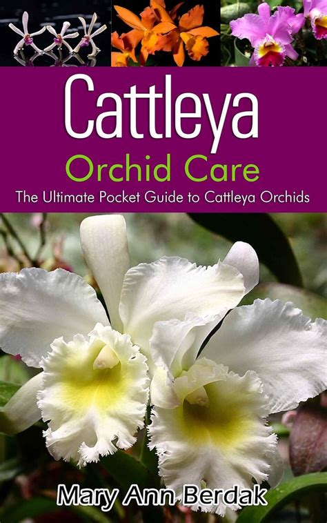 Orchids Book Cattleya Orchid Care The Ultimate Pocket Guide To Cattl