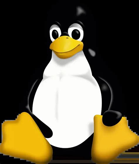 15 Fun Linux Command Line Programs To Spice Up Your Terminal
