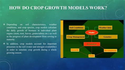 Crop Simulation Models And Their Applications In Crop Productionpptx