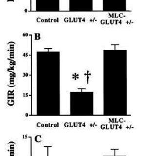 Whole Body Glucose Utilization Rate A Glucose Infusion Rate Gir