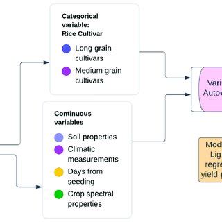 Pipeline Of The Variational Autoencoder And The Final Model For
